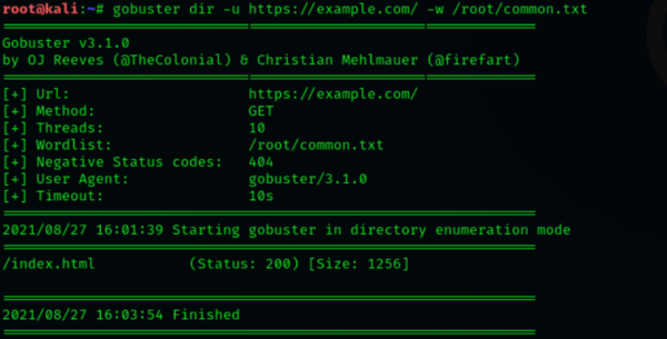 Gobuster – Secuneus Tech | Learn Cyber Security